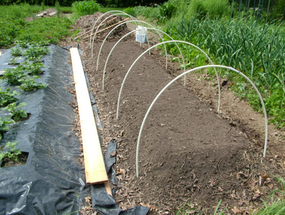 Easy Hoop Tunnel - The CobraHead Blog